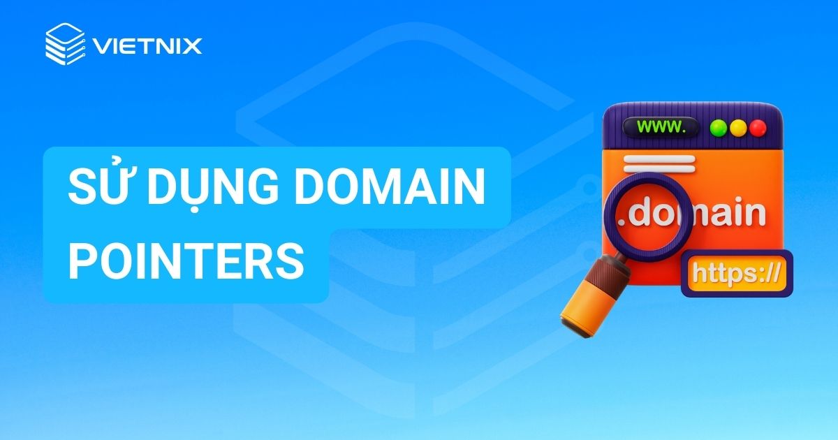 Hướng dẫn 2 bước sử dụng Domain Pointers